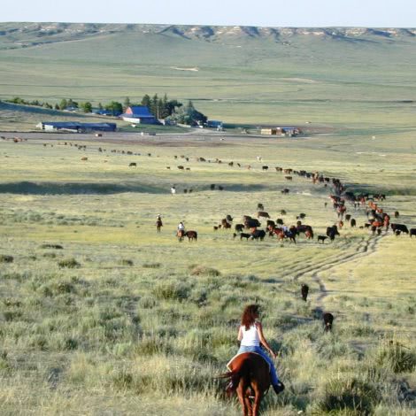 Ranches – Personal Scout Tours