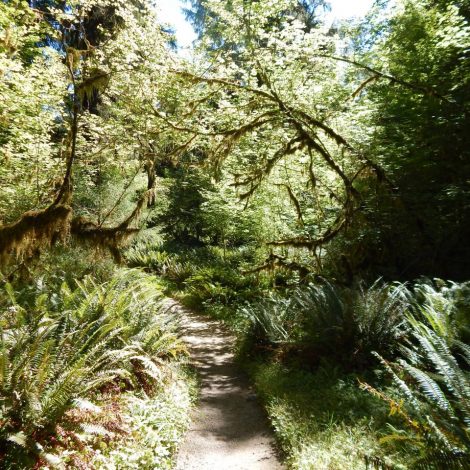 Pacific Northwest Explorer – Personal Scout Tours